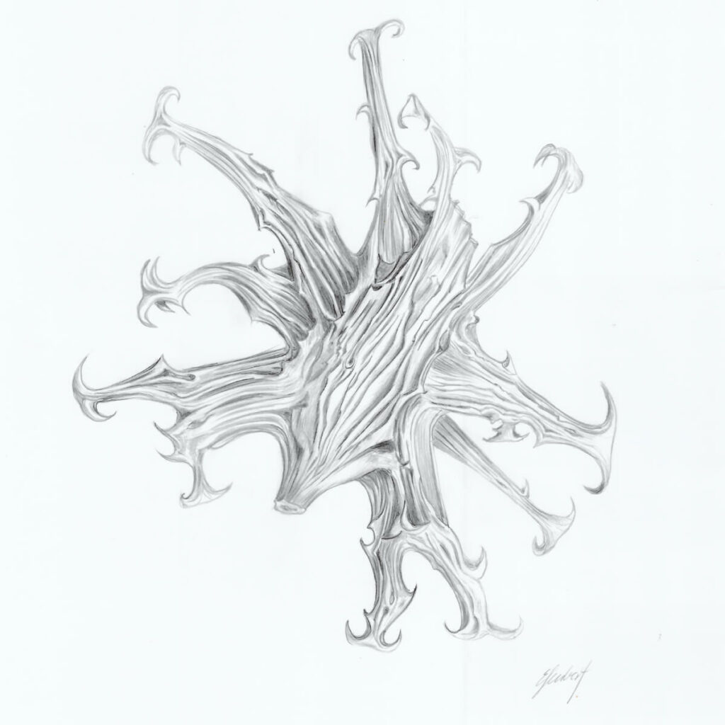 Harpagophytum Procumbens Samen Original Ars Naturalis Harpagophytum Procumbens Samen Original Ars Naturalis